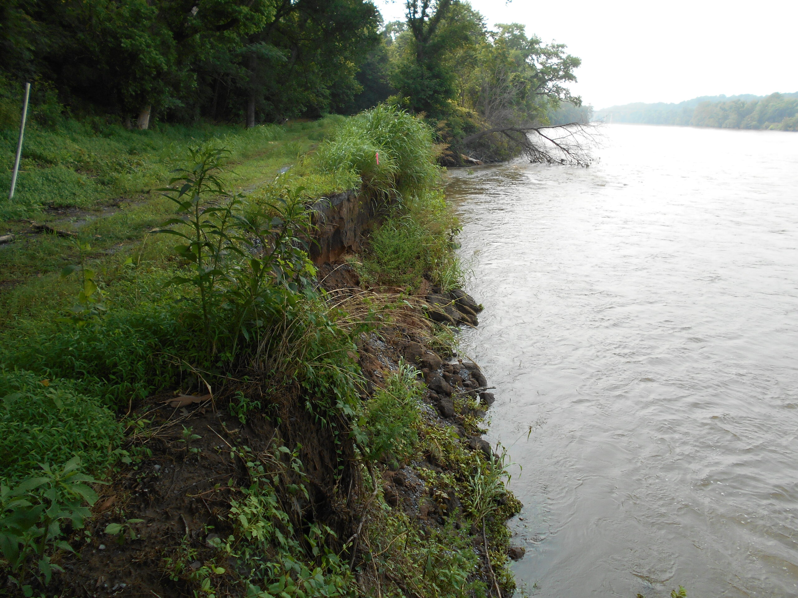 Hurt & Proffitt - Inspired, Responsive, and Trusted